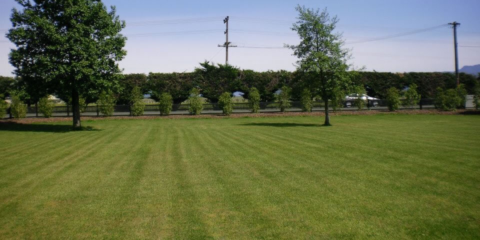 Lawn & Turf Management » Lawn Care & Outdoor Specialists; Landscape ...